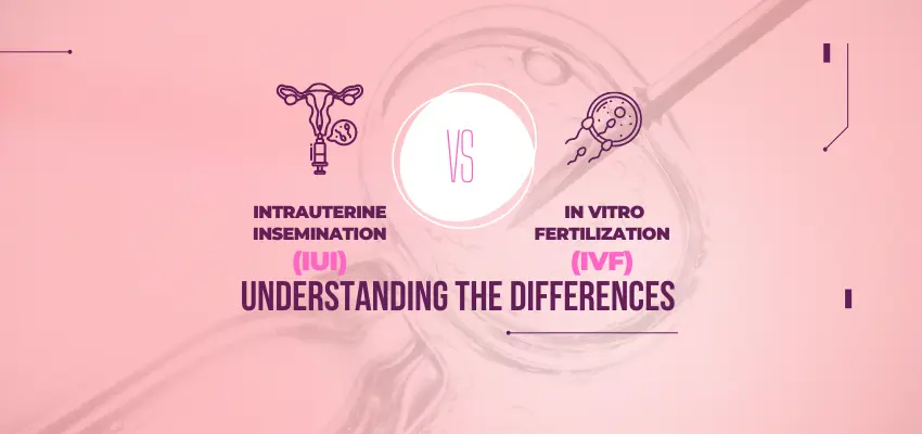 IUI vs IVF: Key Differences, Success Rates, and Treatment Options at ...